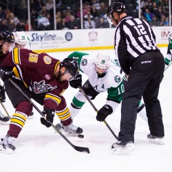 Chicago Wolves Professional Hockey Team