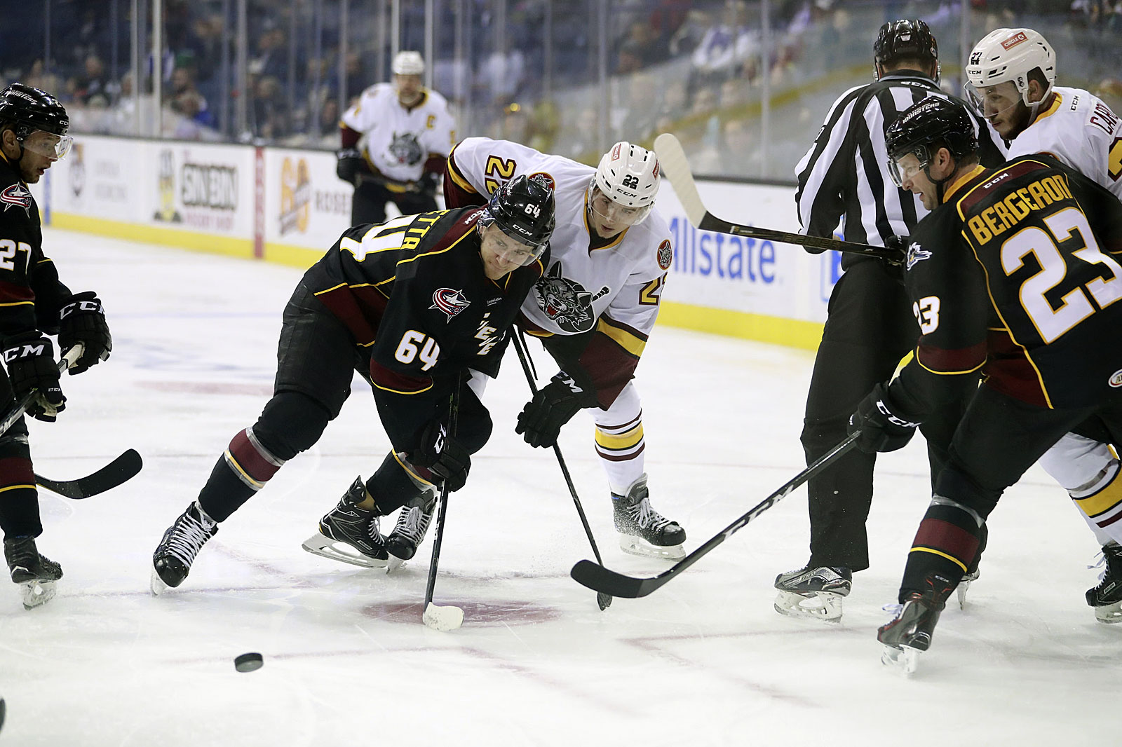 Gallery: Dec. 17 vs. Cleveland - Chicago Wolves