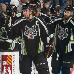 Ownership | Chicago Ice Hockey Team - Chicago Wolves