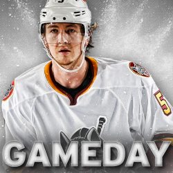 Chicago Wolves Ice Hockey Team Roster - Chicago Wolves