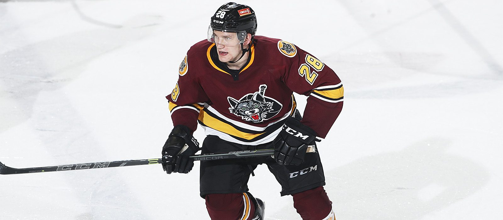 Who's Adam Musil and Who's in His Family Tree - Chicago Wolves