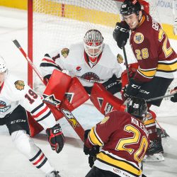 Free Desktop Wallpapers & Downloads - Chicago Wolves