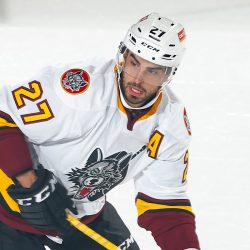 Chicago Wolves – Official Site
