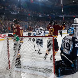 Chicago Wolves – Official Site