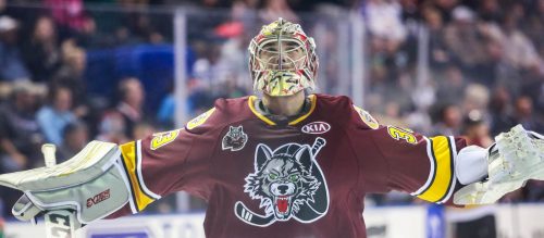 Press Releases - Chicago Wolves Hockey