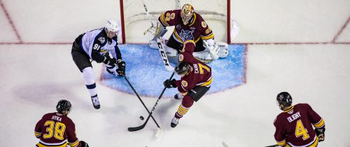 Press Releases - Chicago Wolves Hockey